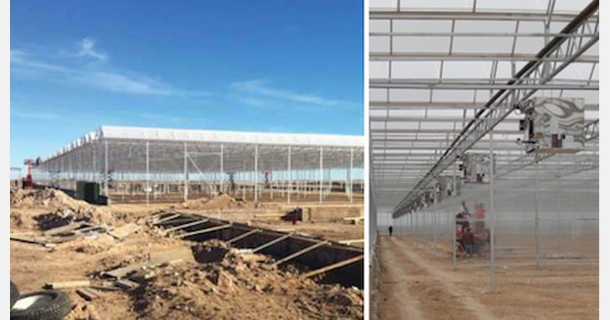 US (CO): GrowCo cannabis greenhouse nears completion and signs first tenant
