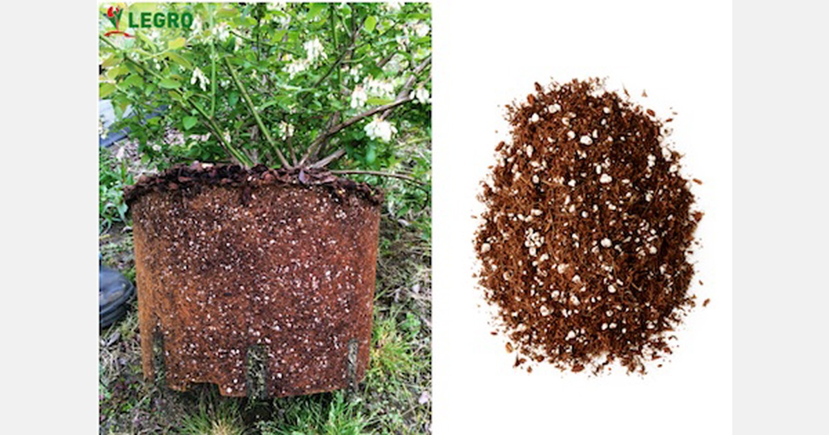 Developments in substrates for the soft fruit sector