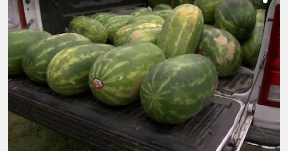 US (NC): Watermelon crop sweetest in years