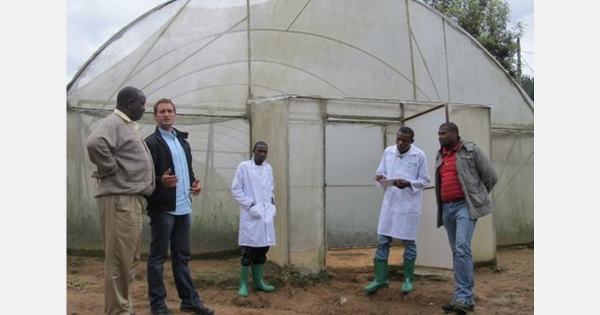 "Rwanda: "Greenhouse horticulture can be improved considerably"