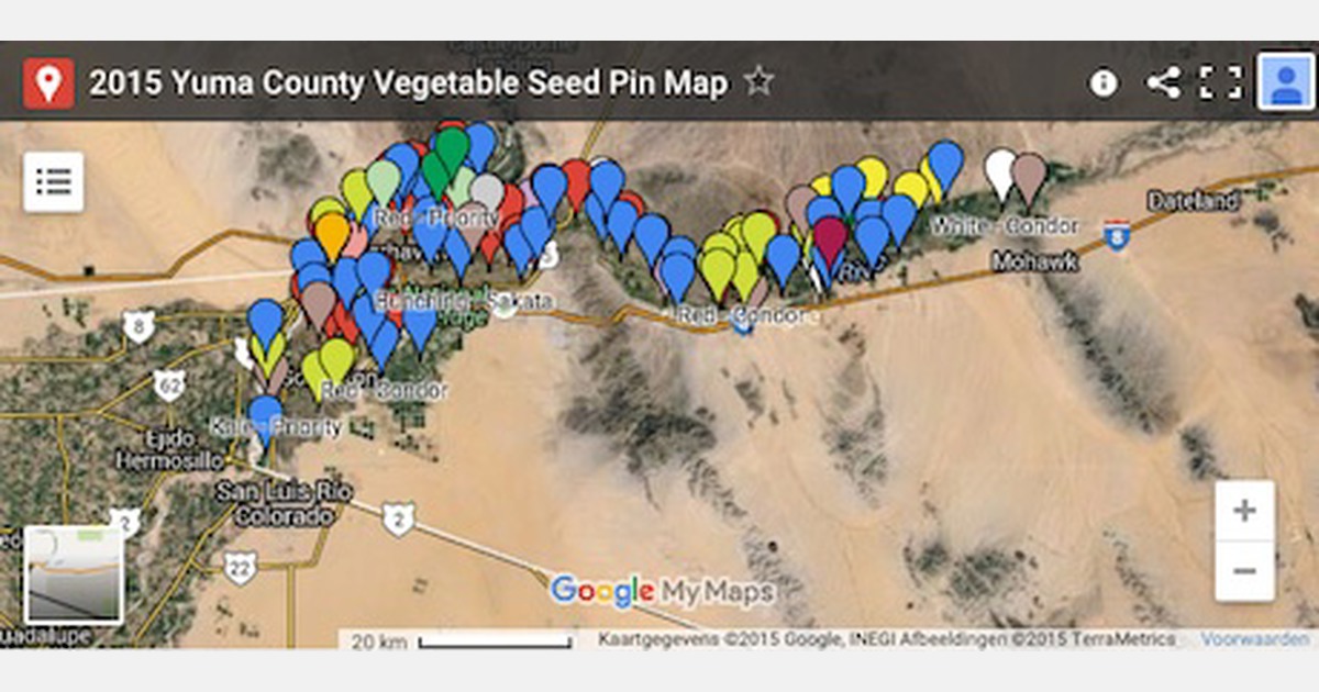 US (AZ): Yuma vegetable seed growers turn to google maps to plan, track ...