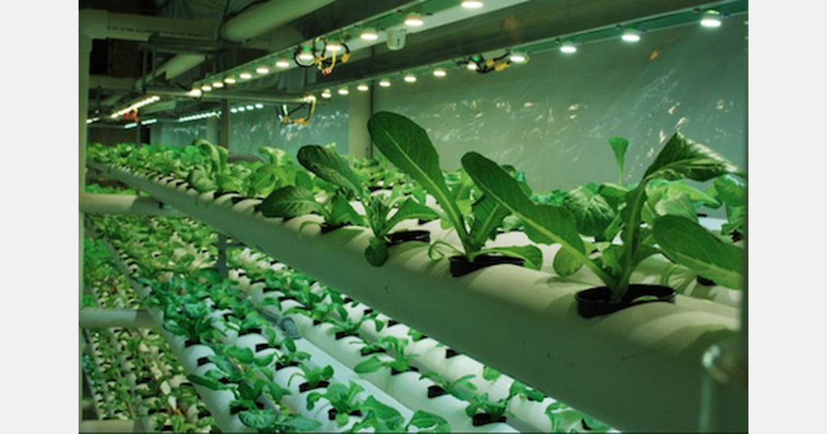 US (GA): PodPonics announces commercialization of Grow Pod Technology