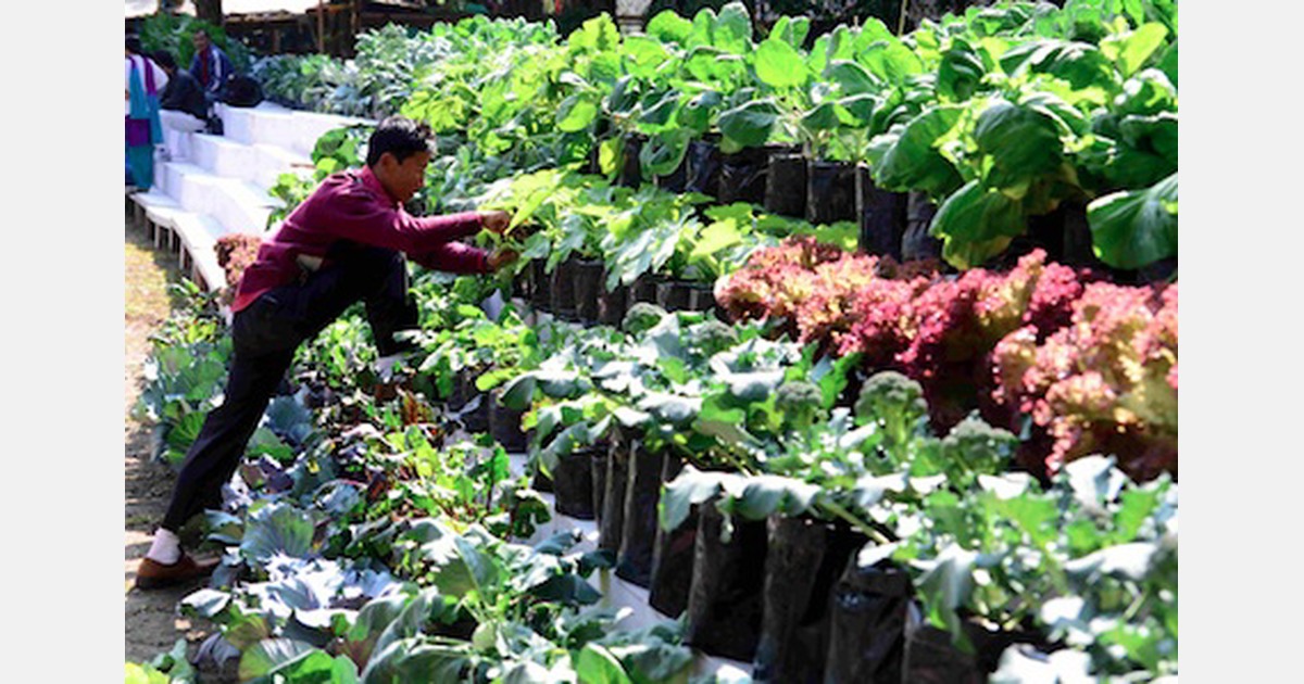 Sikkim to be India's first organic farming state