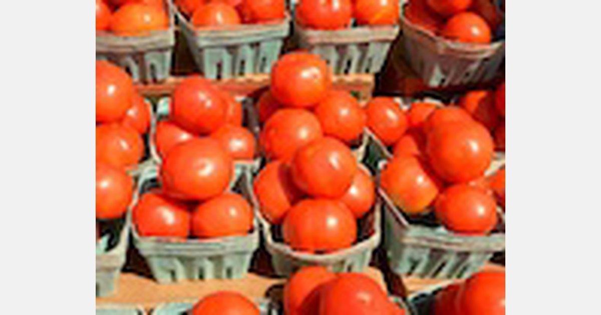 How Sundrop Farms grows food in the desert