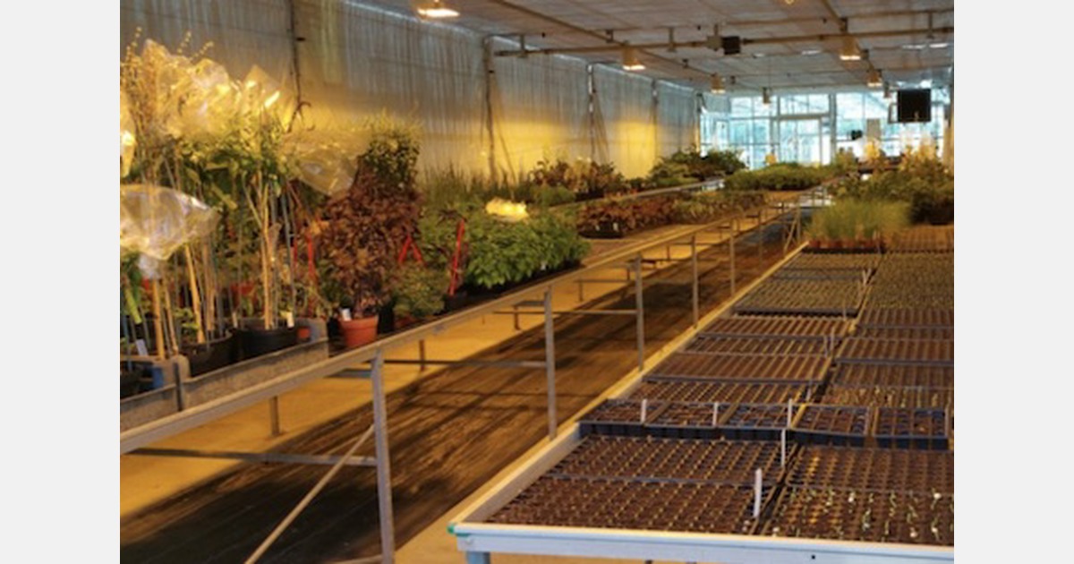 UK: Pymoor-based CN Seeds Ltd receives £60,000 to boost overseas growth