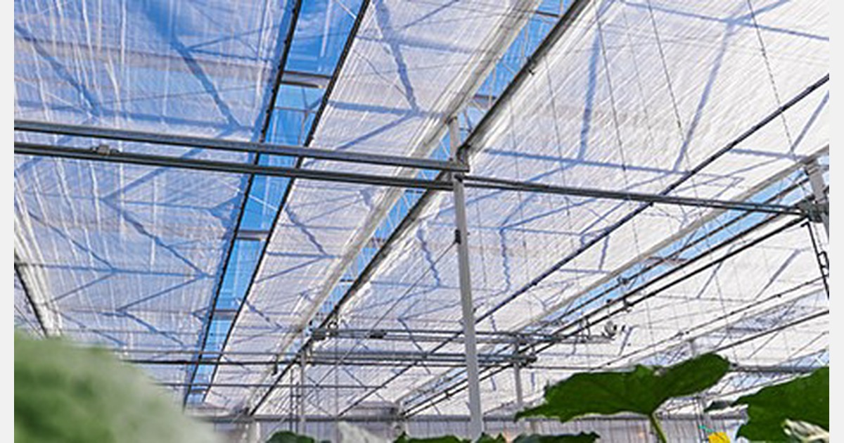 25 reasons to consider double screening