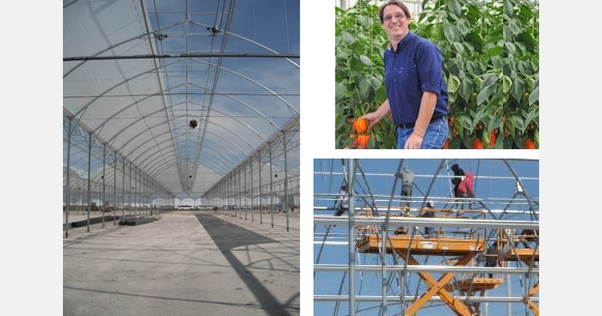 Mexico: Year round ambition drives Geoponica's expansion