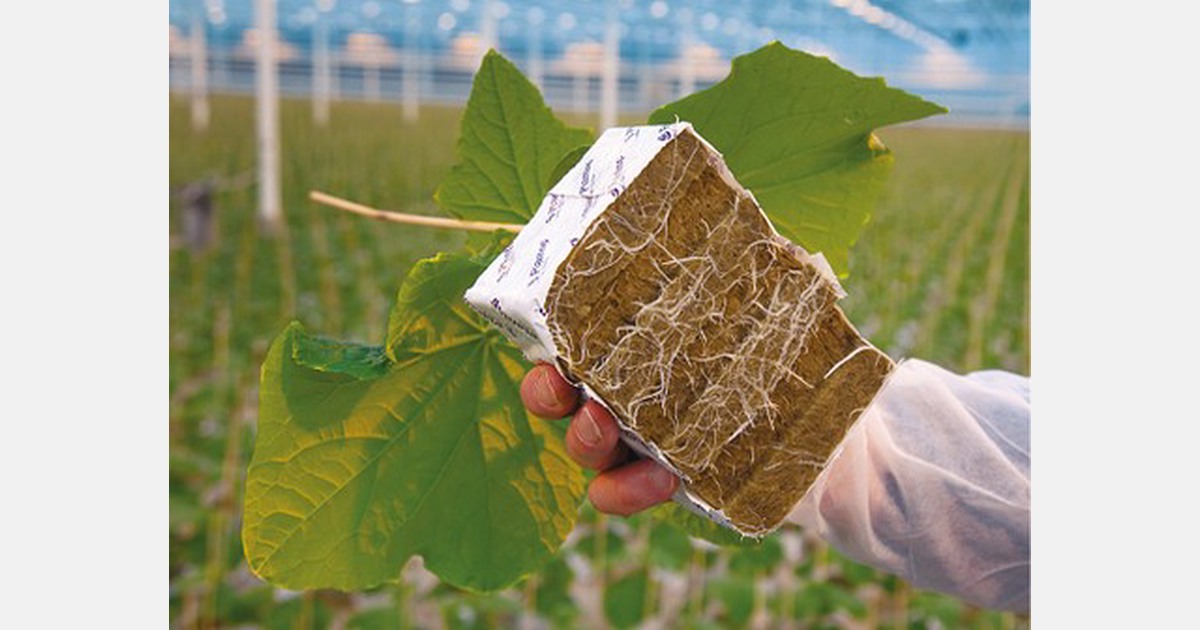 Rock wool added to RHP quality mark