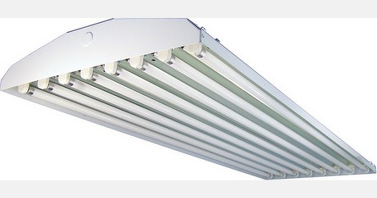 Transcend launches new fixtures, teams up with Griffin