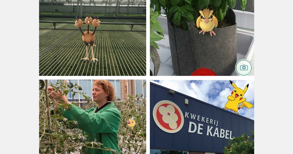 Pokemon tears into greenhouse industry