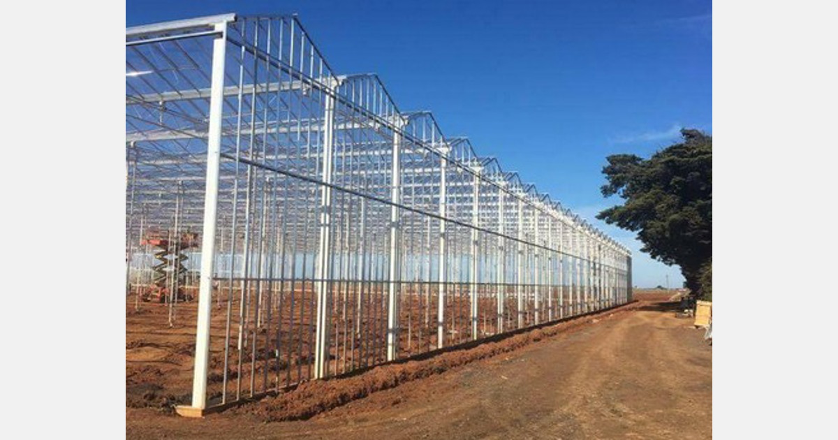 Apex Greenhouses starts co-operation with BOAL Systems