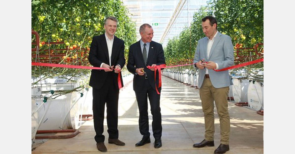 Ribbons cut of Sundrop's first 20 hectare