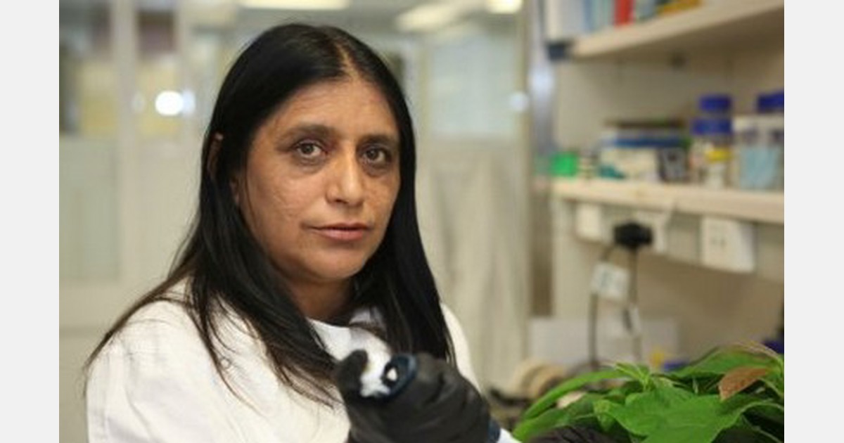 BioClay - a game changer in crop protection?