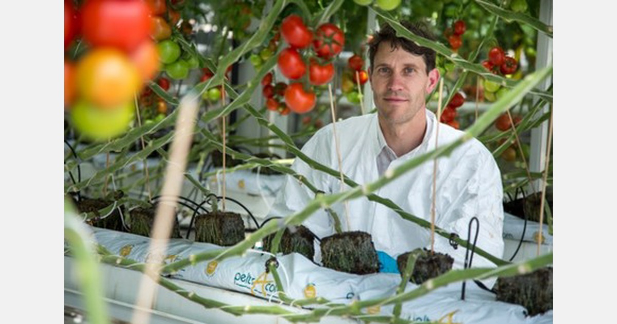 Greenyard's Oliver Grunert obtains PhD on Grow Bag research