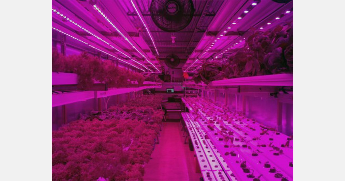 Grow Pod Solutions develops new indoor farm system