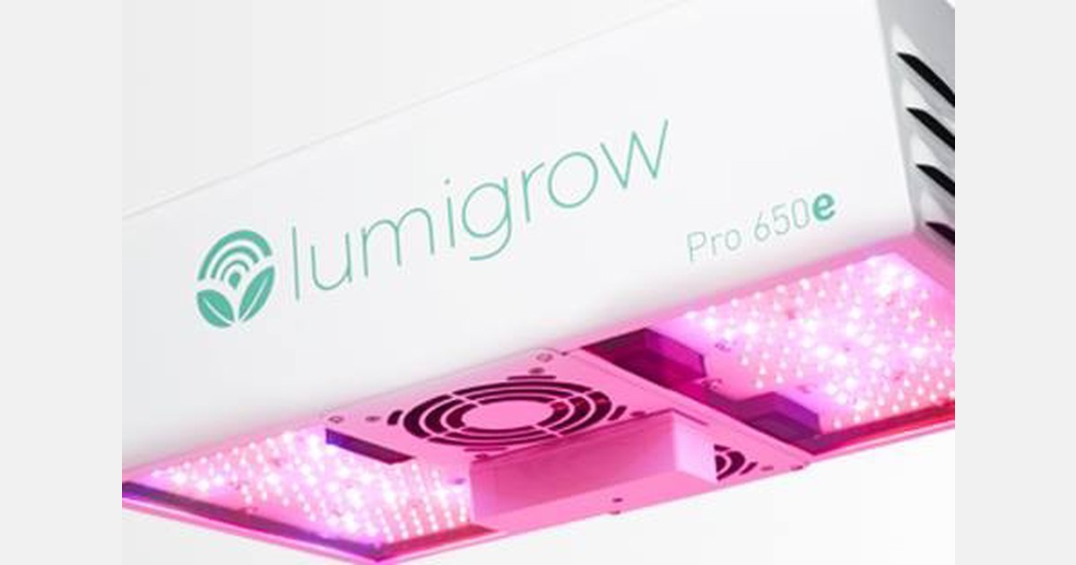 New brand identity for LumiGrow