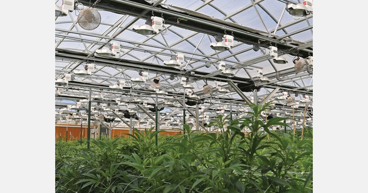 CAN (QC): Preferential electricity rates for MJ producers extended