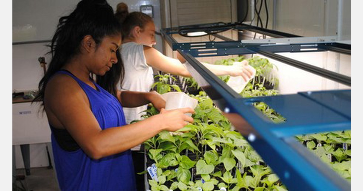US (MN): High school builds 'windowless greenhouse'