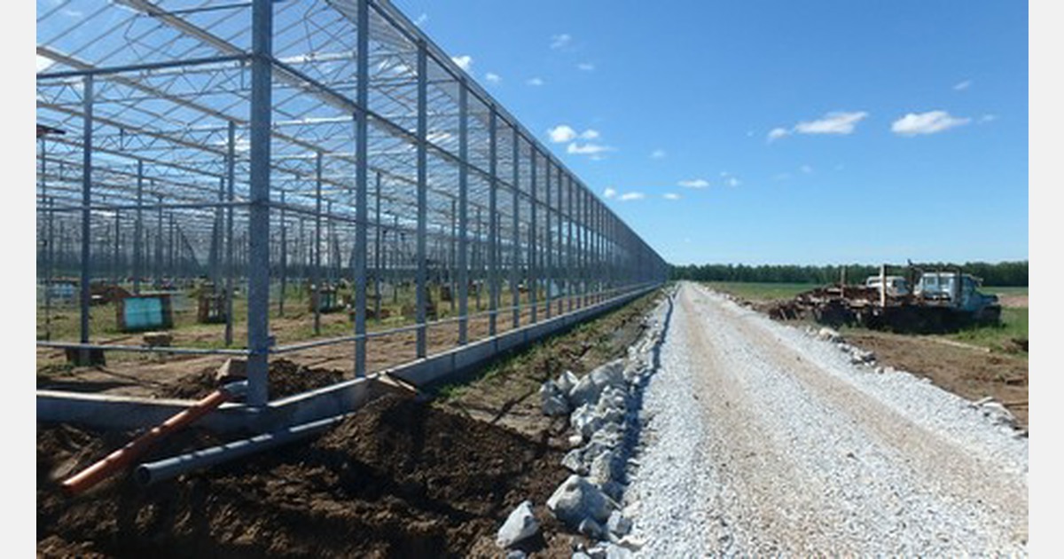 Arctic agriculture: Smart greenhouses and light on demand