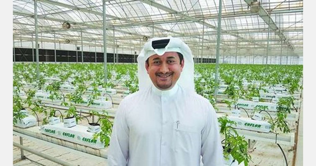 New hydroponc Agrico farm brings organics to Qatar