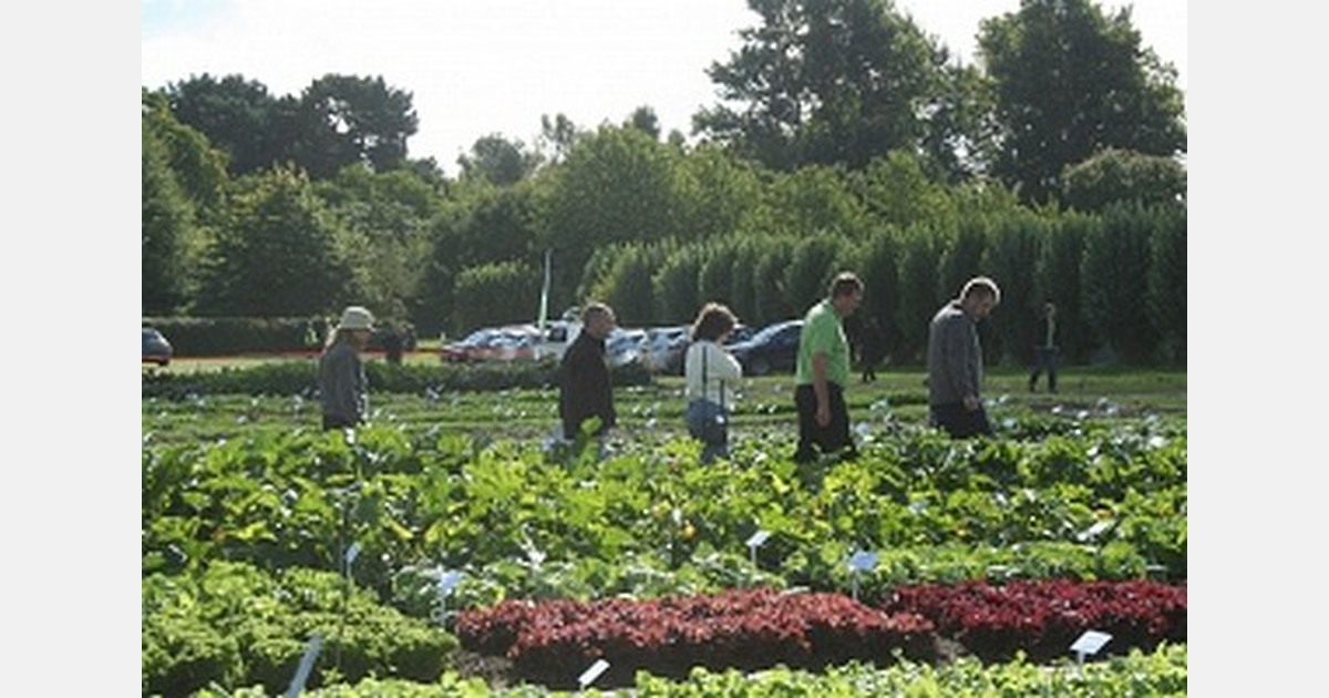 British Herbs Summer event at Tozer Seeds