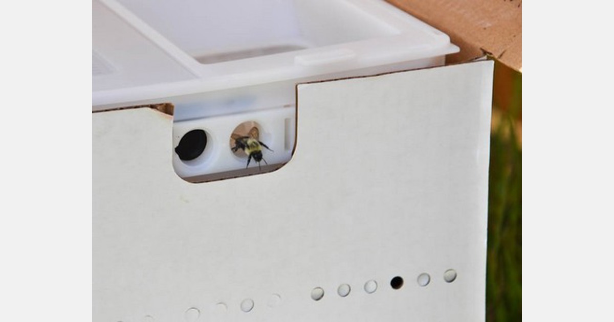 US (FL): Guardian Soil Solutions to distribute BVT system