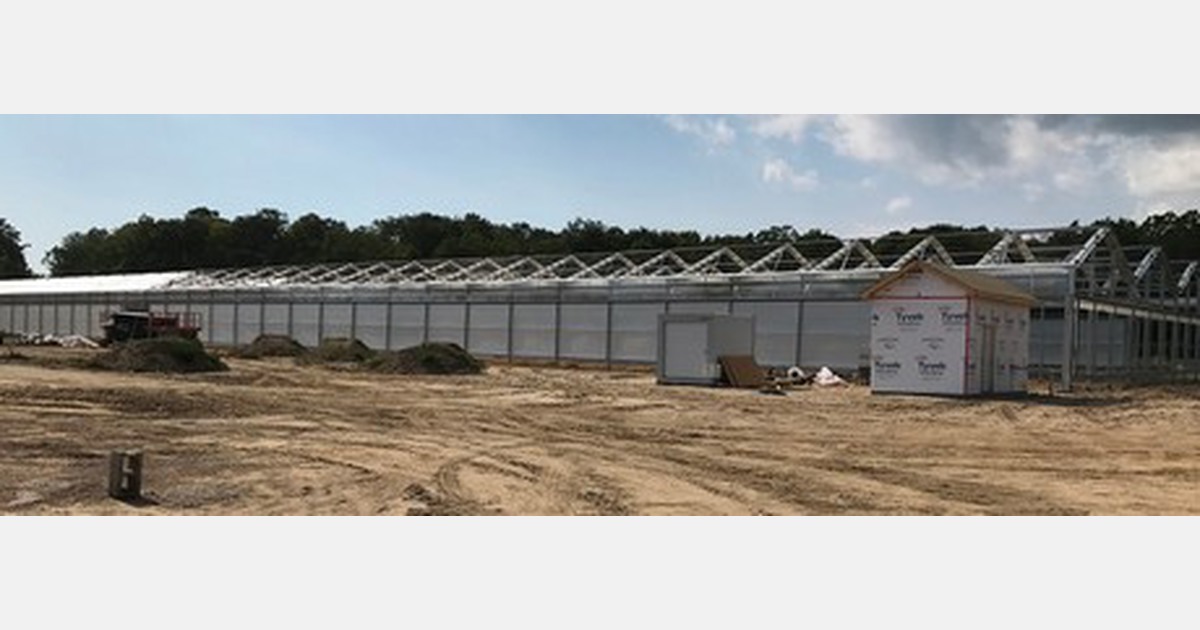 CAN (ON): EZ Grow Farms expanding with Cravo