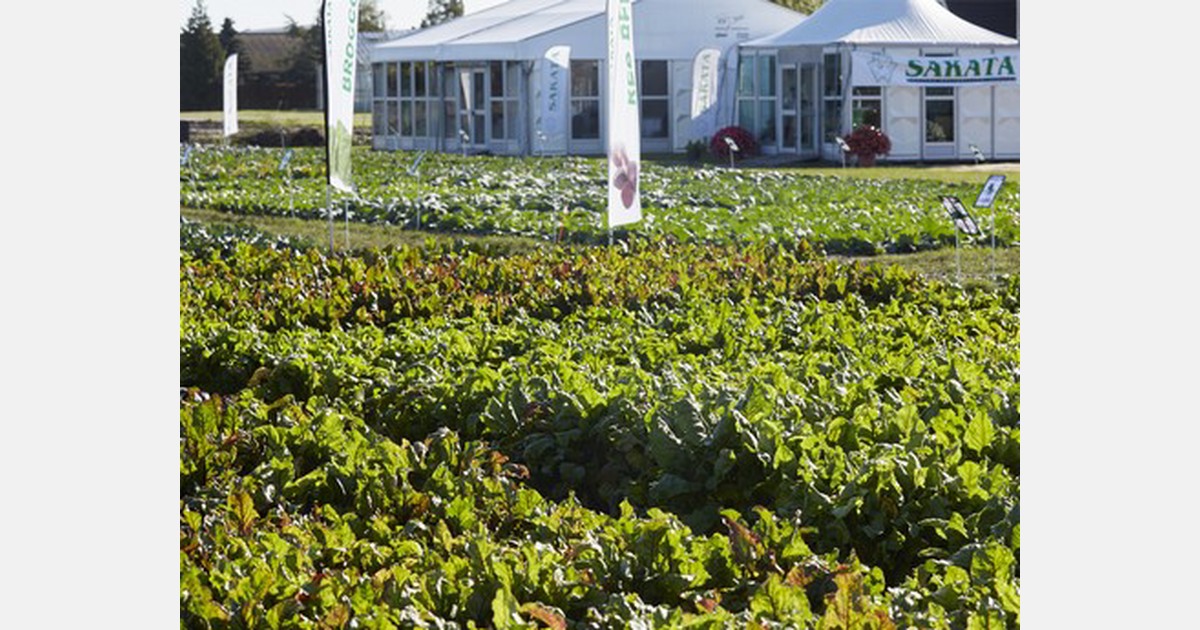 Sakata Field Days in the Netherlands