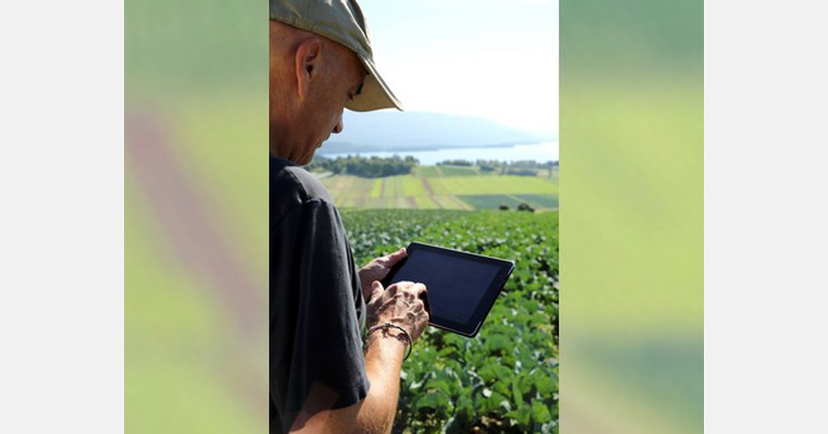 Yara acquires crop nutrition recommendation platform