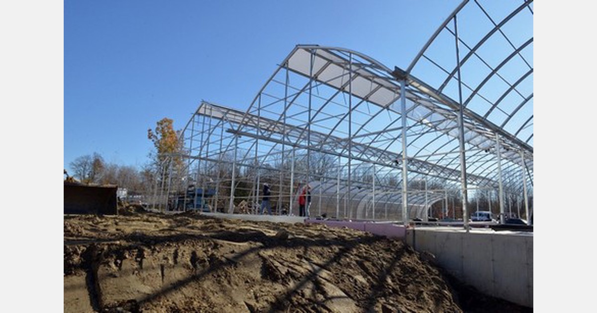 US (MA): Wellspring Harvest plans to grow vegetables, wealth