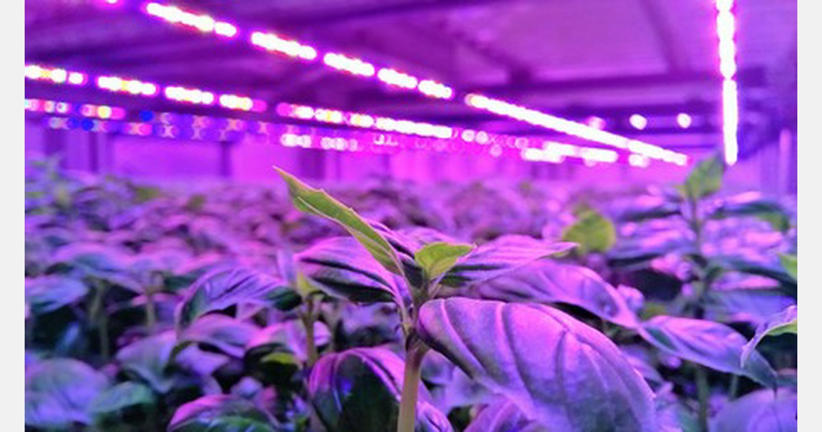 New brand unites equipment and automation for Vertical Farming