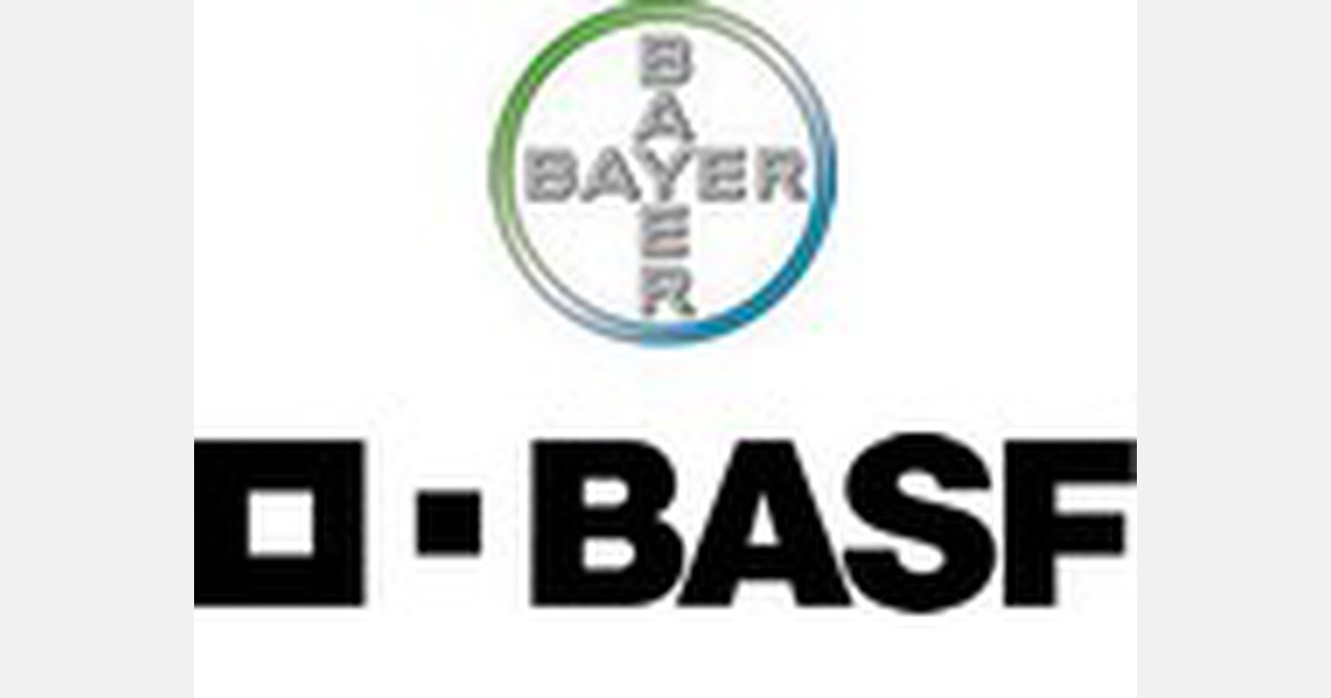 BASF buys Bayer's vegetable seeds business for €1.7bn