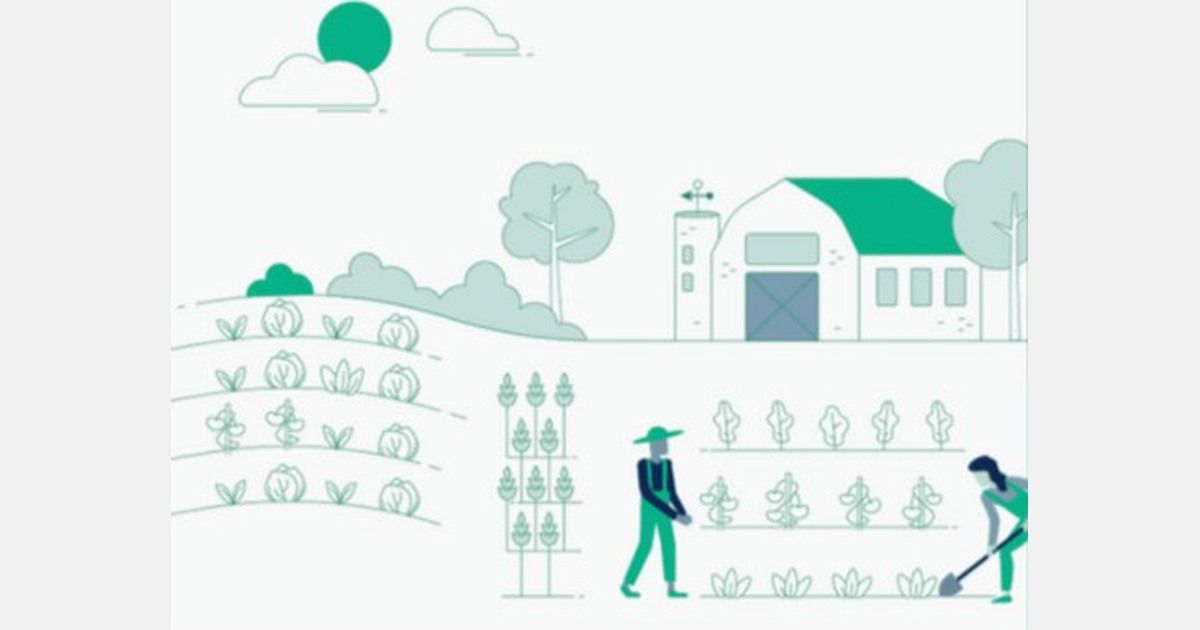 Illumitex builds digital horticulture network community