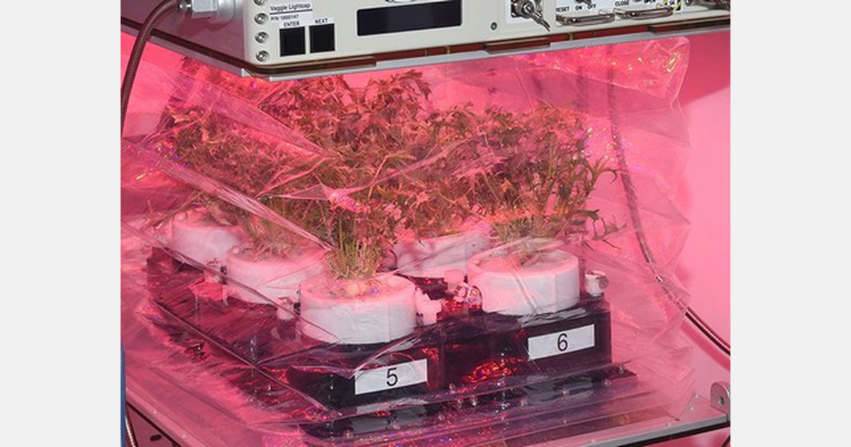 Tupperware and Techshot develop plant growth chamber for NASA