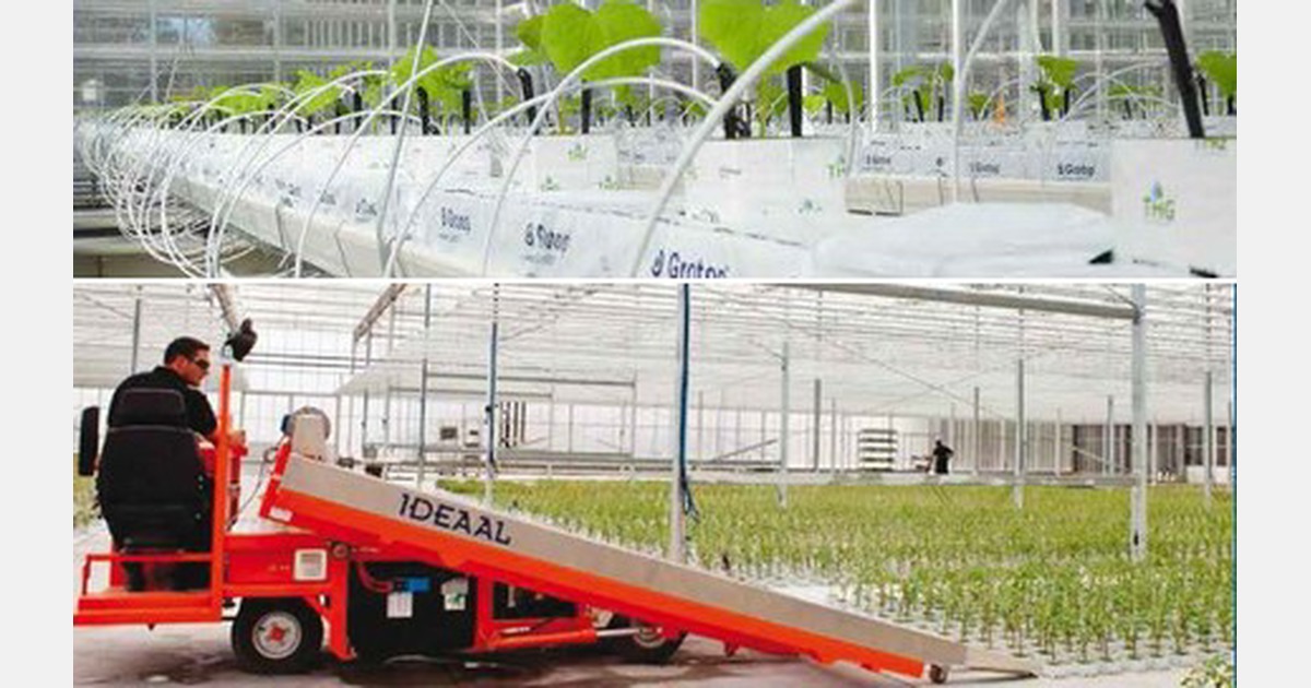 Australia: Trandos Hydroponic Growers hosts workshop