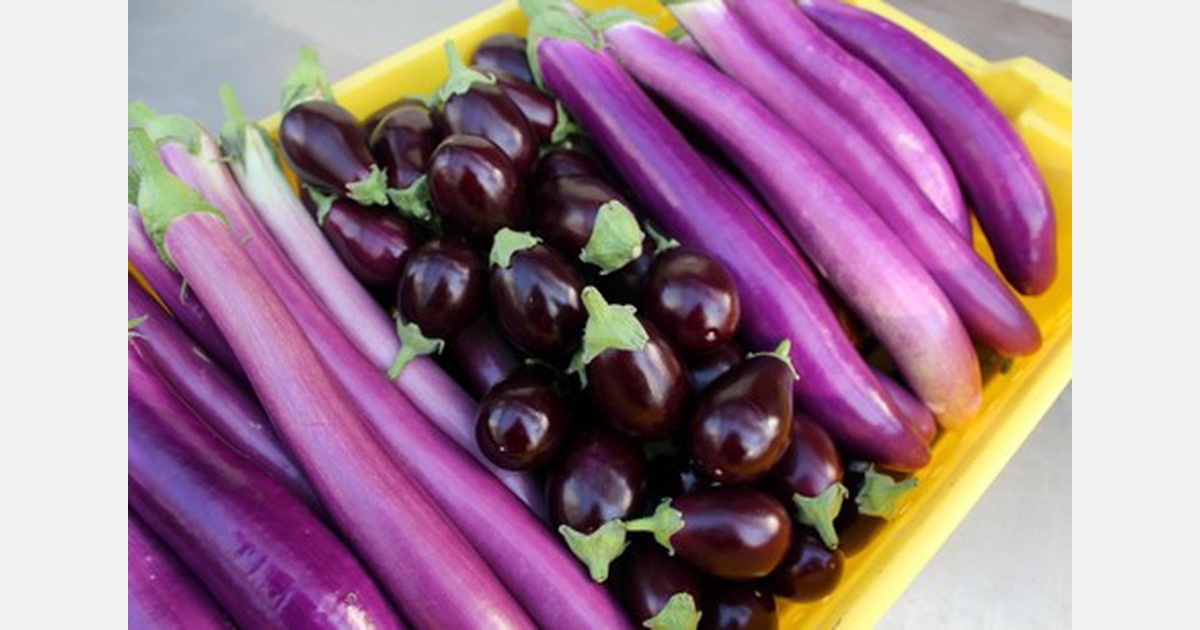 Canada: New World crops online resource now available