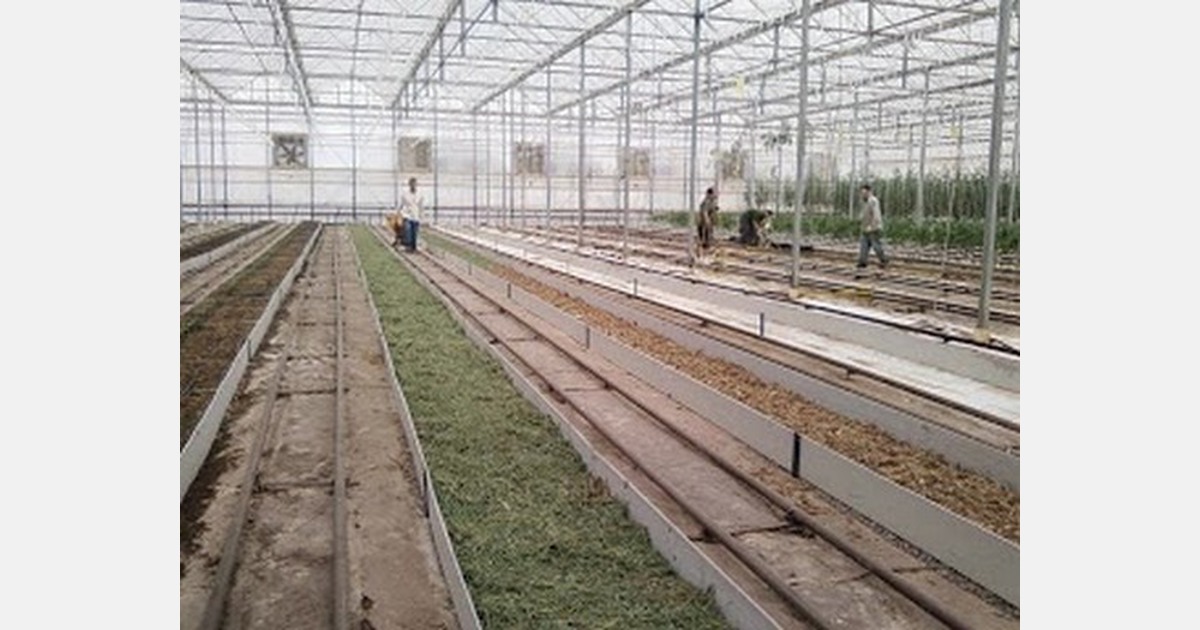 US (AZ): New owners of Sunizona Greenhouses to cultivate MMJ