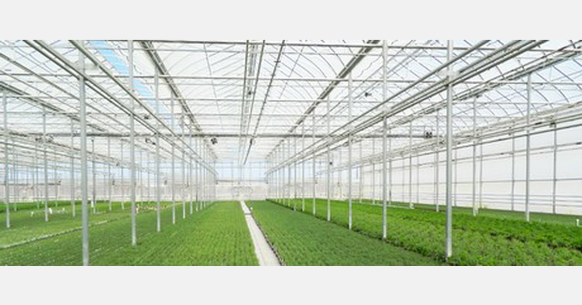 7 tips for successfully designing a propagation greenhouse