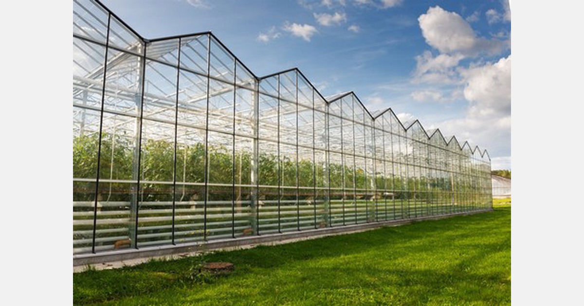 Puration announces acquisition of Canadian Cannabis Farmers Co-Op