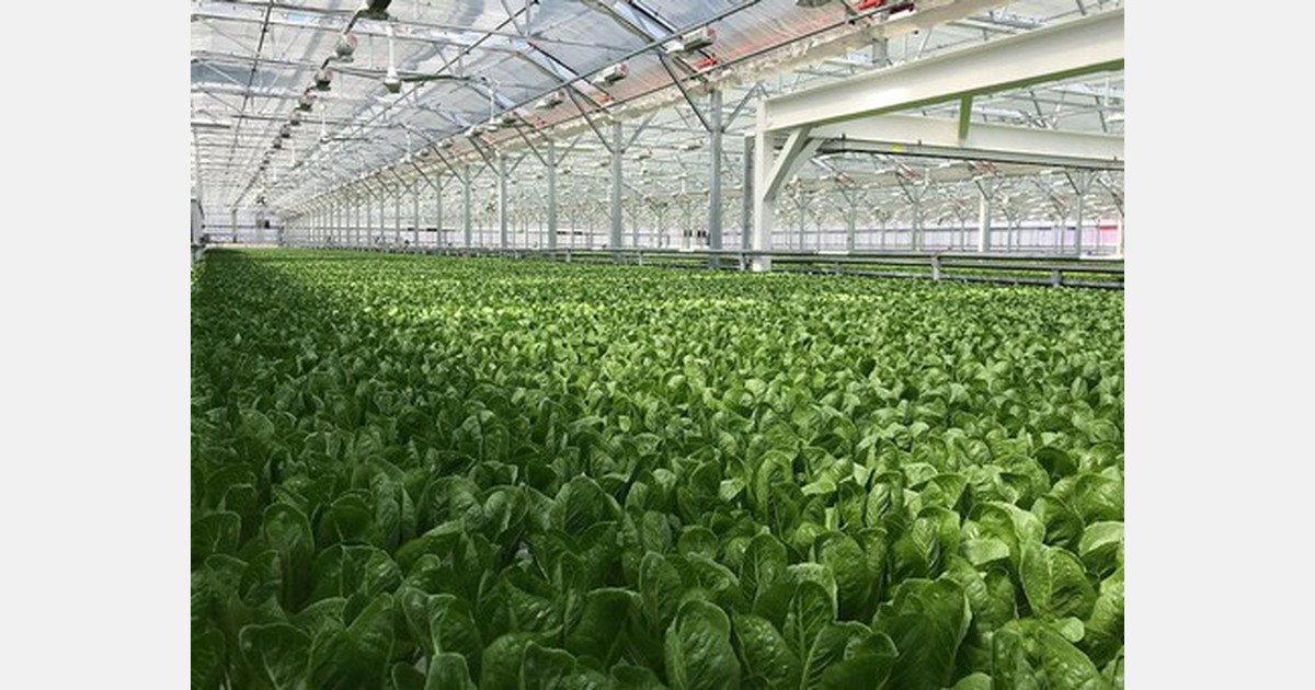 Gotham Greens raises $29 million in growth equity funding