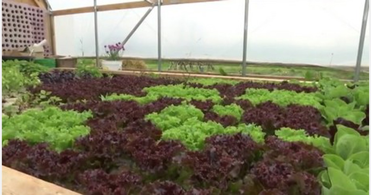 US (MN): UMD greenhouse wins farm award
