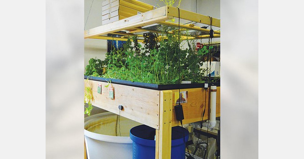 US (MN): High school builds 'energy classroom' greenhouse