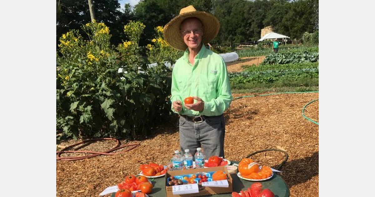 Tomato guru shines at Kane Street Garden