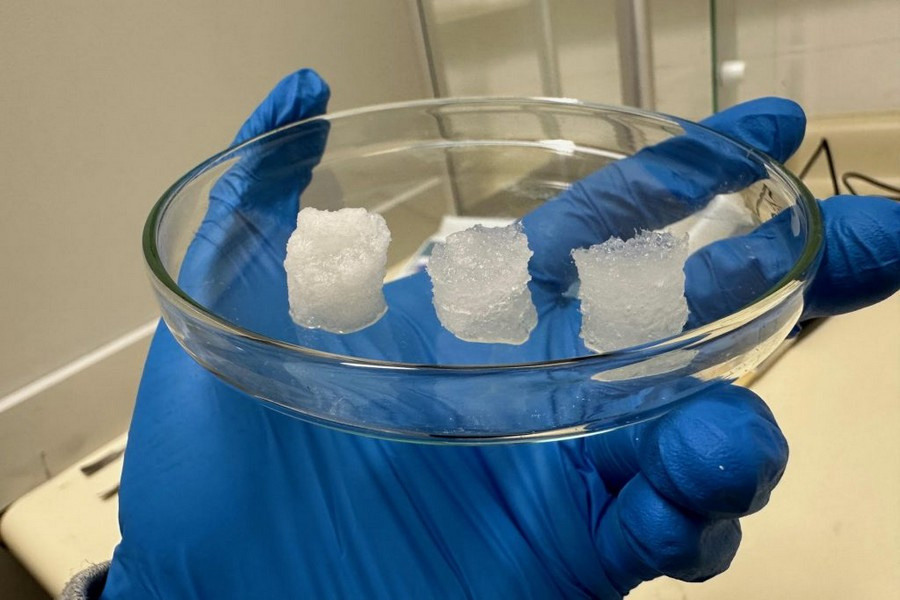 Biodegradable hydrogel developed in Chile aims to cut water use and ...