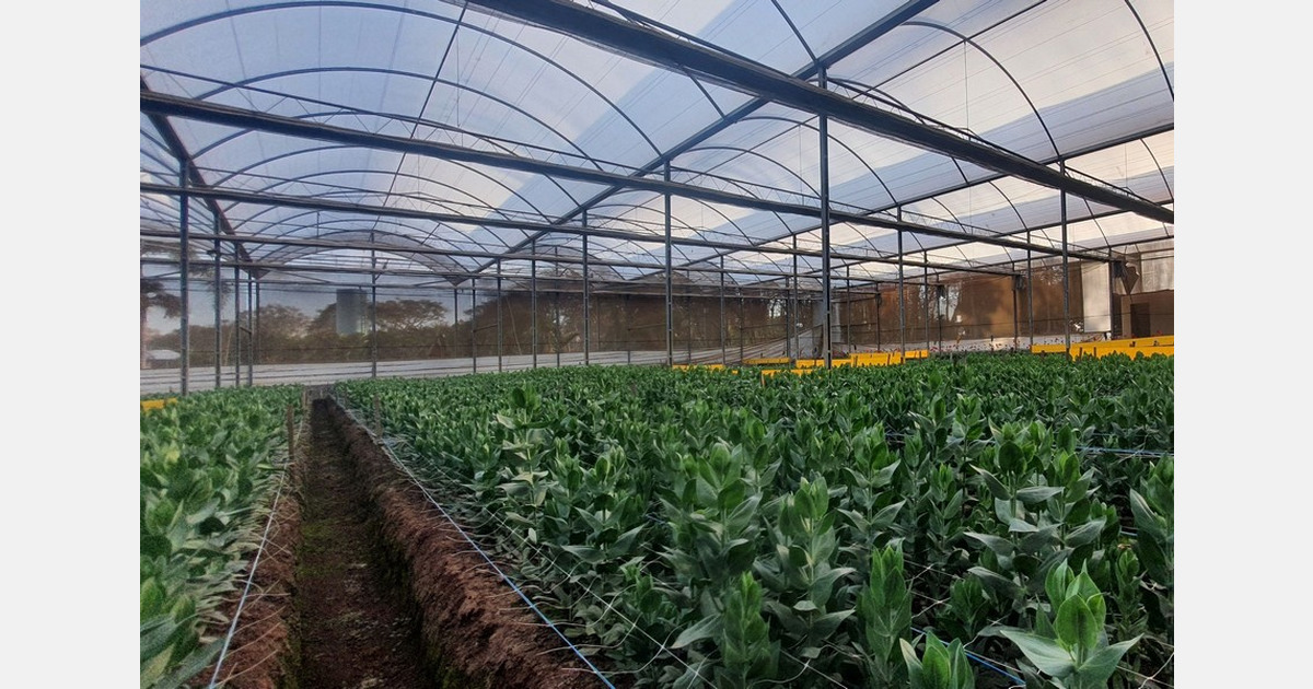 BASF introduces NOR® HALS additives to strengthen agricultural plastics ...