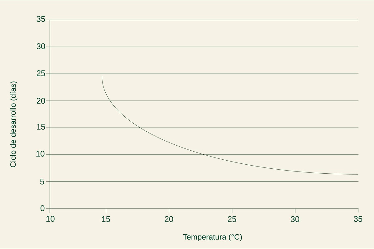 Mexico: Early season pressure from red spider mite puts growers on alert