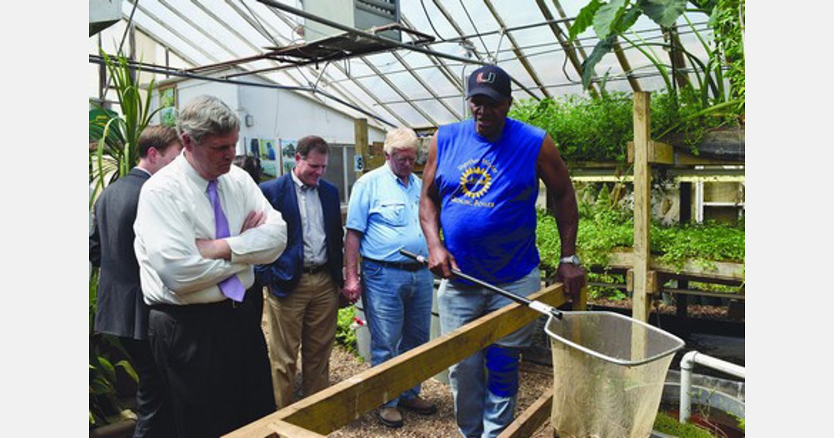 US (WI): Urban farmer Will Allen launches CBD business