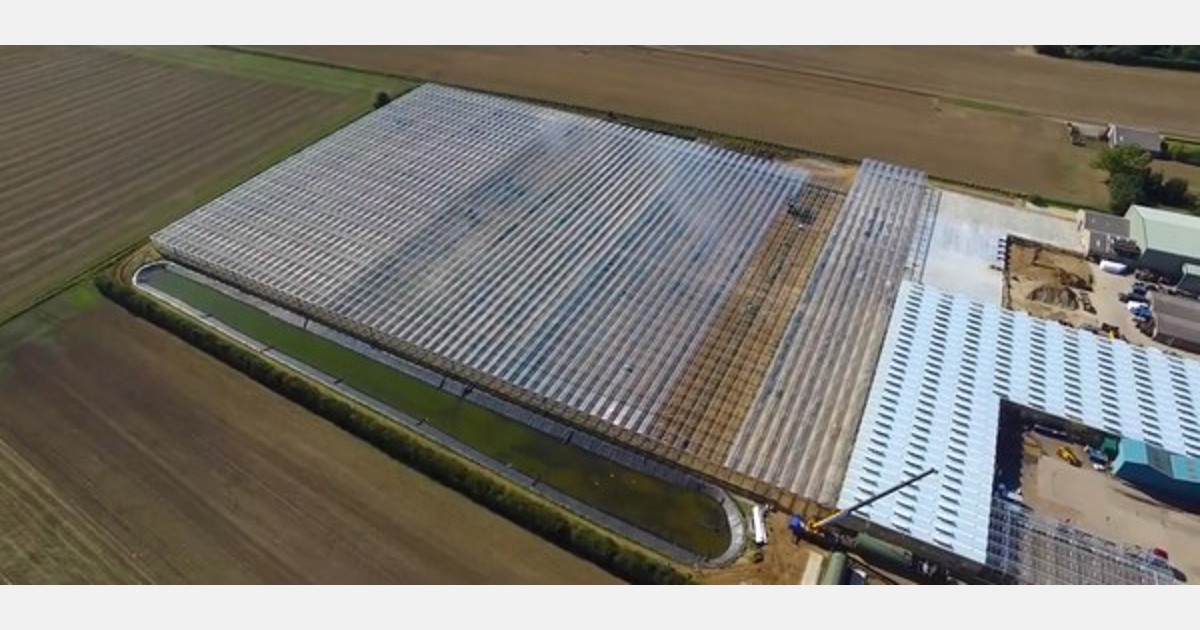 UK: Bridge Farm Group returning to independent ownership