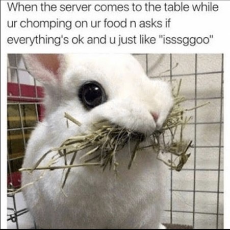 They always have the worst timing