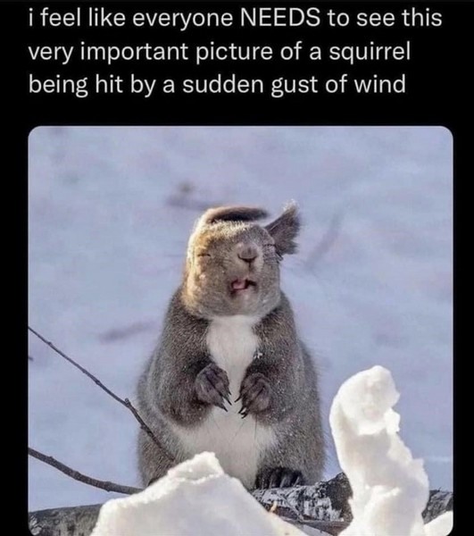 Me when there's a slight breeze